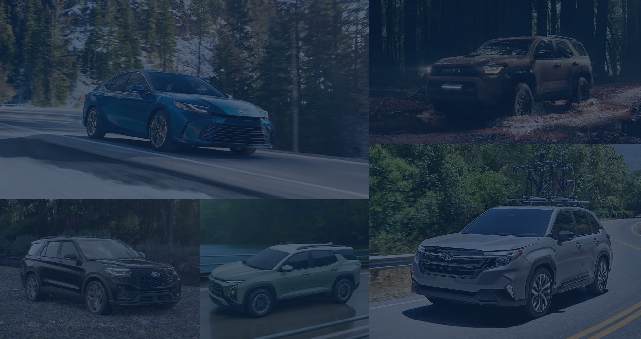 Five New Models in 2025